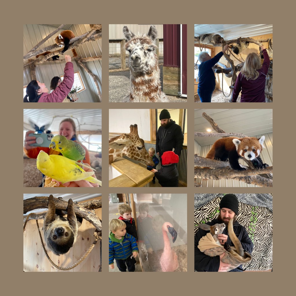 A Day in Wisconsin Dells-An Animal Lovers Dream - Wisco Explorer